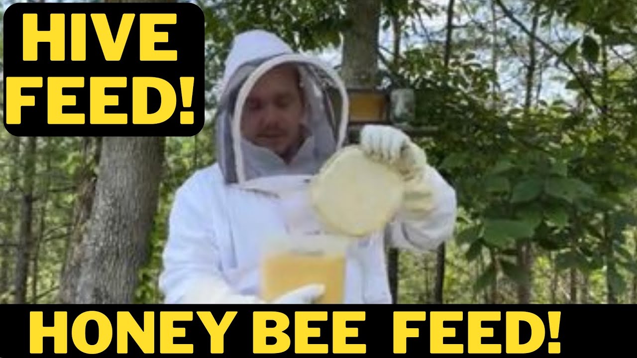 Dry pollen for bees! Honeybee stuff - YouTube