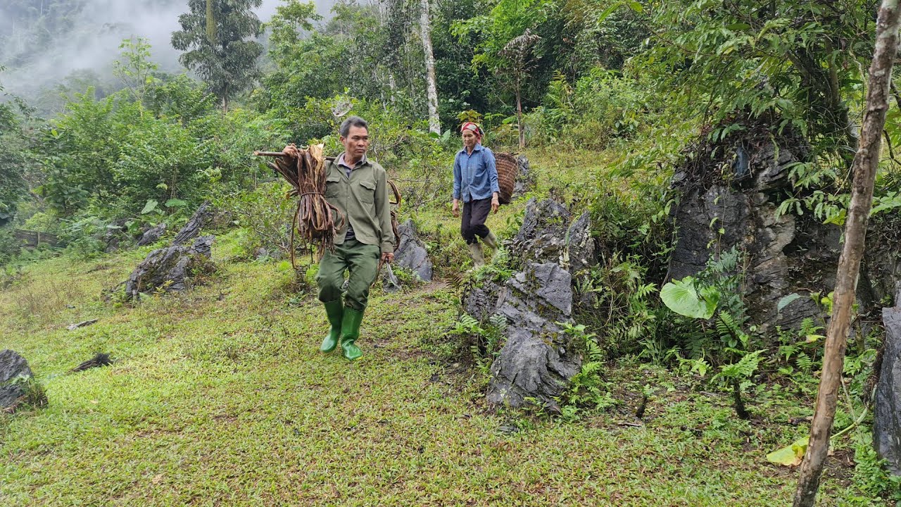 exploiting forest jute bark, making baskets for hens to lay eggs ...