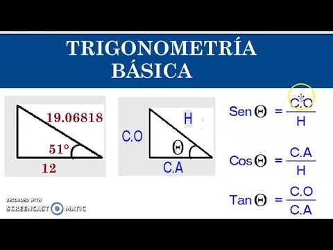 TRIGONOMETRÍA BÁSICA - YouTube