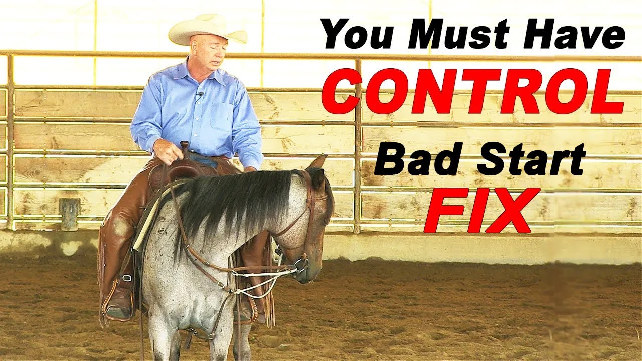 Get Control Of Your Horse - Solve Training Problems Like Bucking, Bolting, Violent Spooking ...