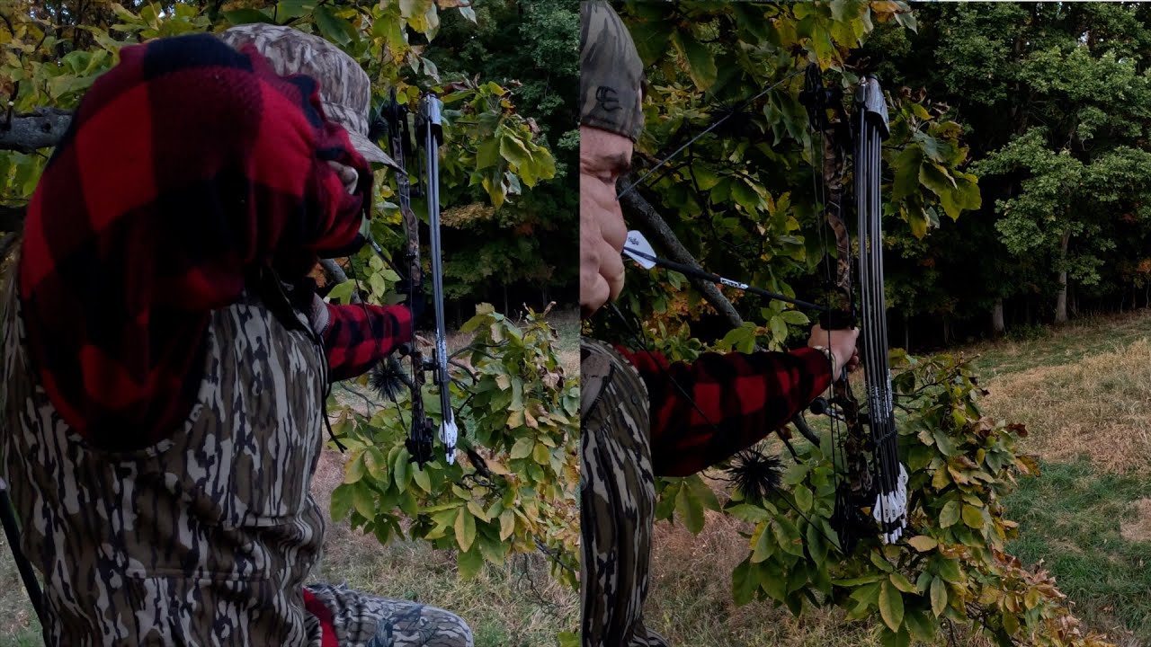 High FOC arrow pass through:Big Doe comes to the BBQ party : never do ...