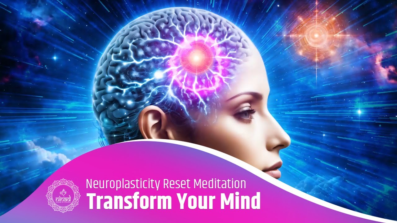 Transform Your Mind: Enhance Cognitive Performance And Learning ...