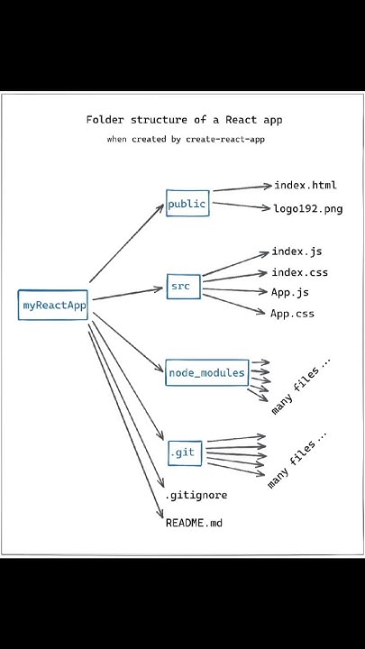 react.js folder structure #react #coding #frontend ...! - YouTube
