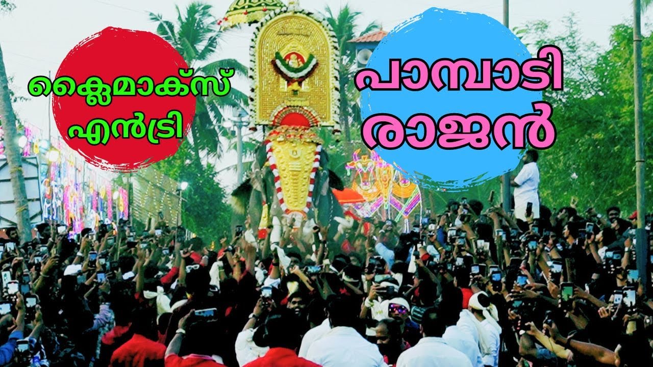ആരവത്തോടെ Panpadi Rajan Anayadi Gajamela 2024 | Gajarahja Panpadi Rajan ...