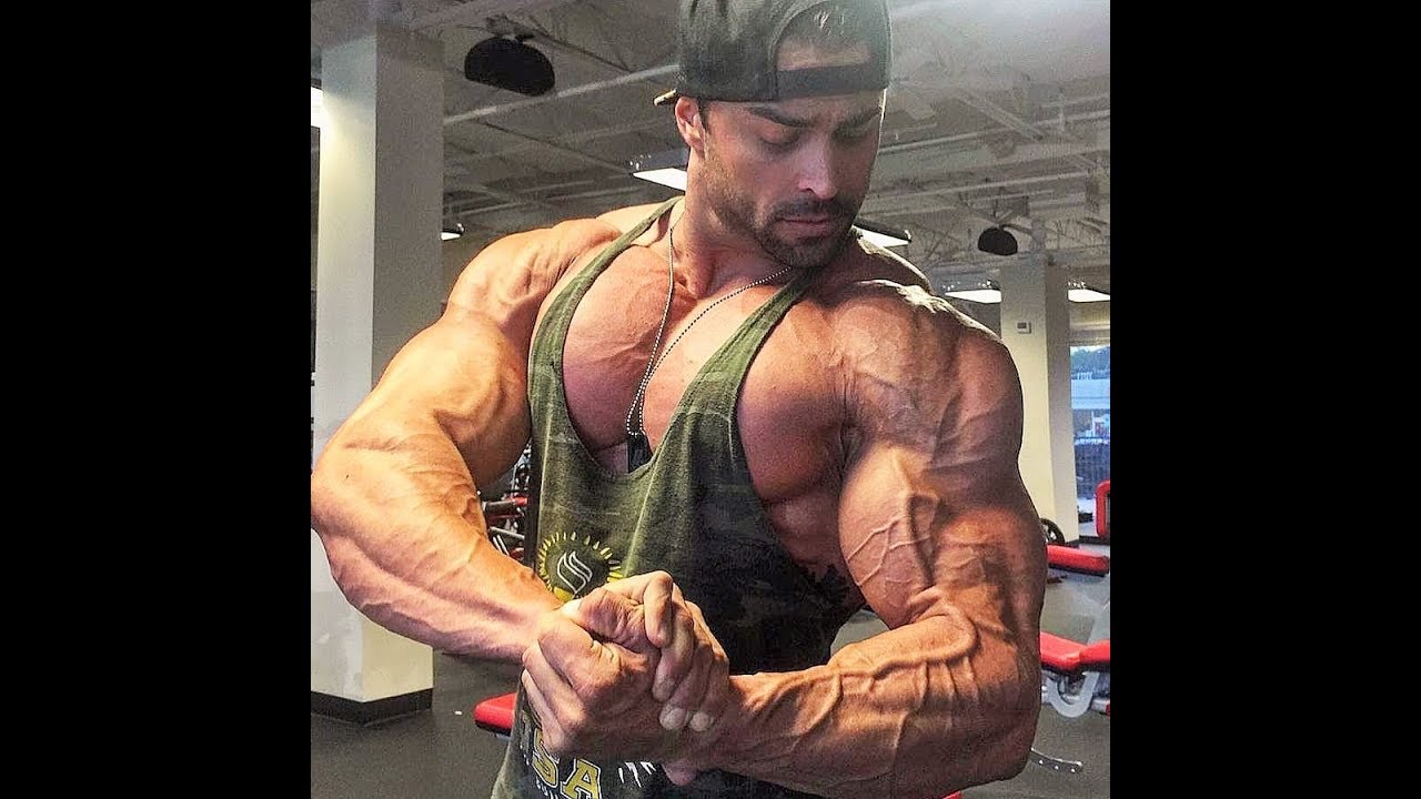 Jason Poston |shredded handsome bodybuilder | best wings workout - YouTube