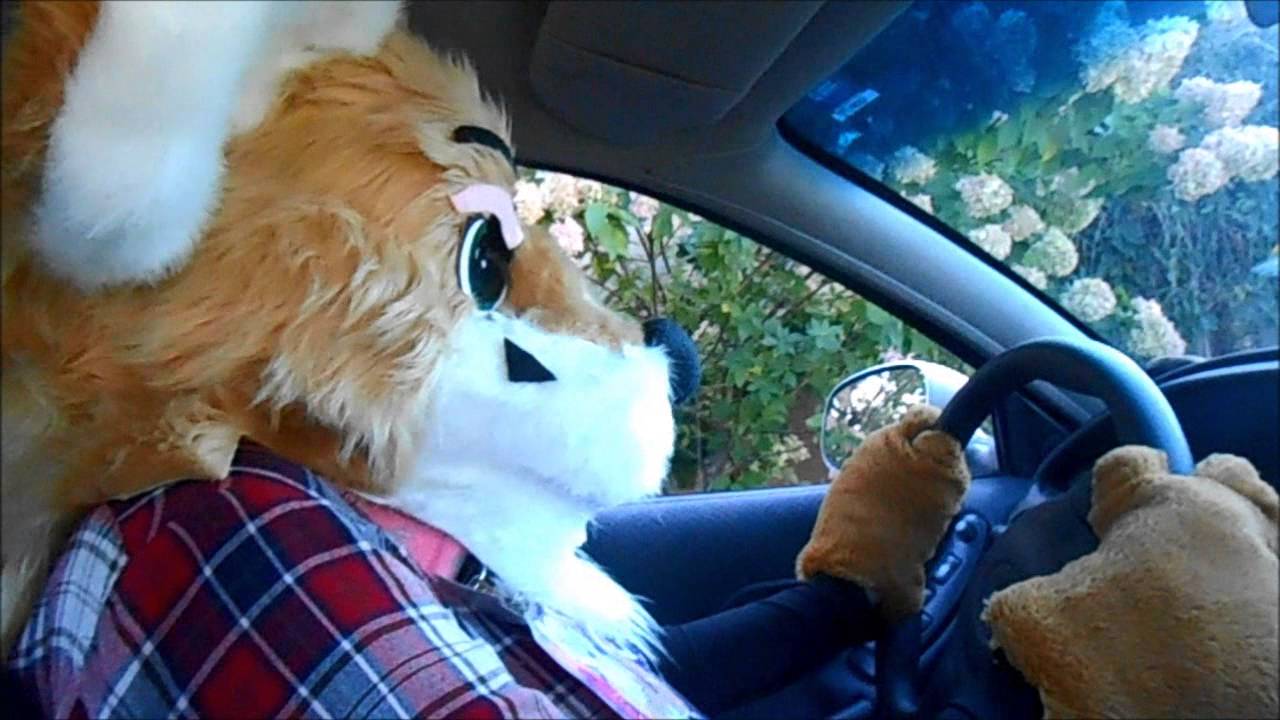 Furry car prank! - YouTube