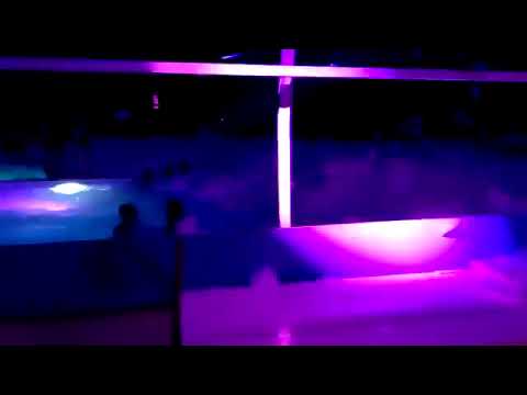 ALANYA. DISCO-Schaum Party