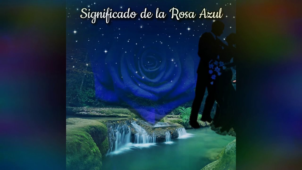 Significado y Simbología de la Rosa Azul "MI ROSA AZUL" - YouTube