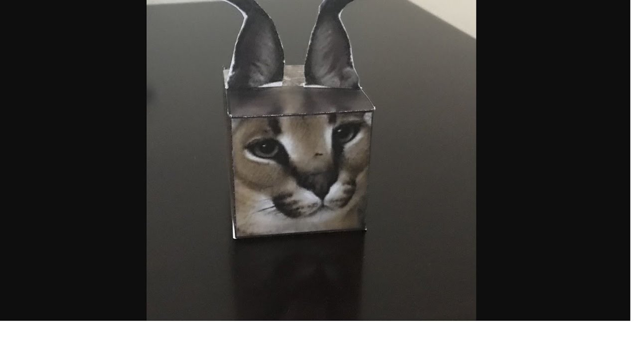 floppa camping in minecraft - YouTube