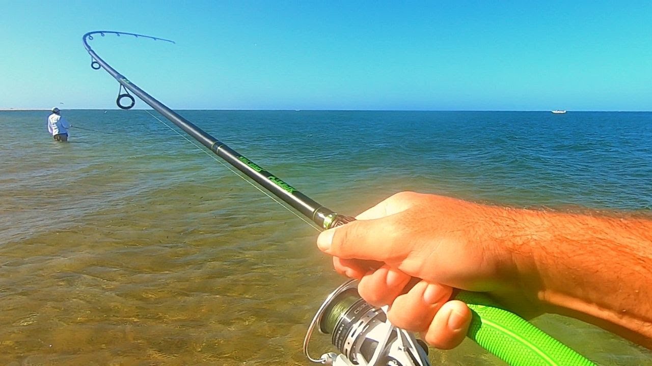 Fishing off an ISLAND in the OCEAN All Day!! (Really Strong Fish) - YouTube