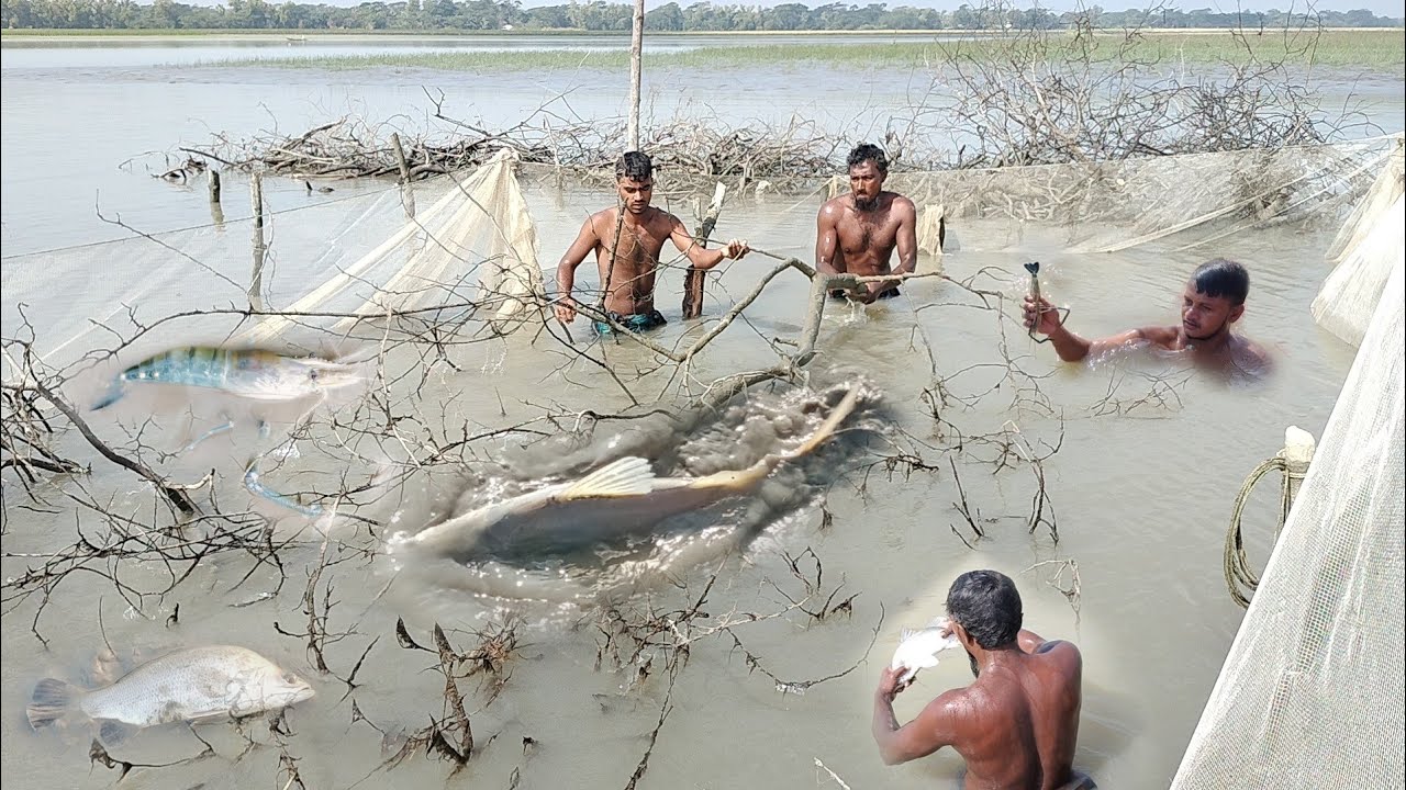 Awesome Jungle Fishing।। Big fish hunting।।Best Deep Water Fishing From ...