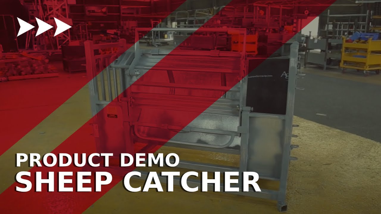 Sheep Catcher Demo - The easy way to handle your sheep! - YouTube