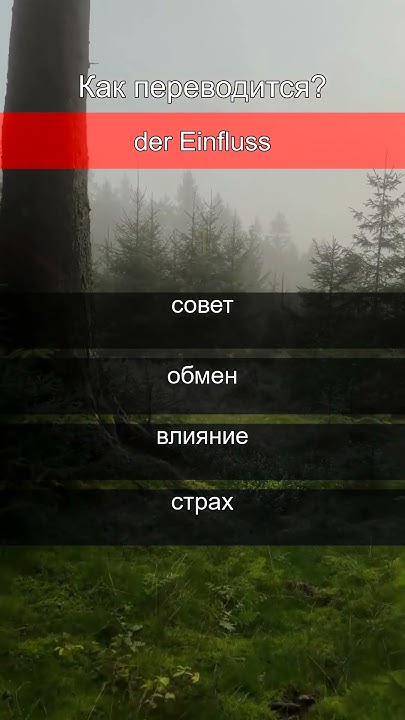 Проверь себя краткие тесты на знание немецкого языка Germantest Germanpractice УчимНемецкий