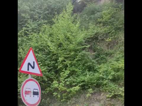 AŞİQ TƏBRİZ GƏDƏBƏYLİ TALEH ƏLİOGLU QOCALMİSAM