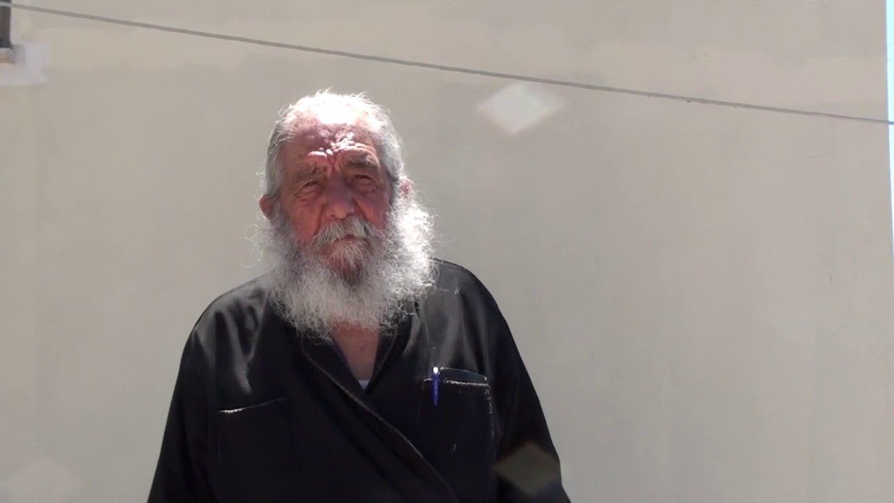 ΠΡΟΒΑΤΑ ΗΛΘΑΝ ΜΟΝΑ ΤΟΥΣ ΑΠΟ ΤΟ ΒΟΥΝΟ ΓΙΑ ΝΑ ΤΡΑΦΟΥΝ ΟΙ ΑΝΘΡΩΠΟΙ. ΠΑΠΑ ...