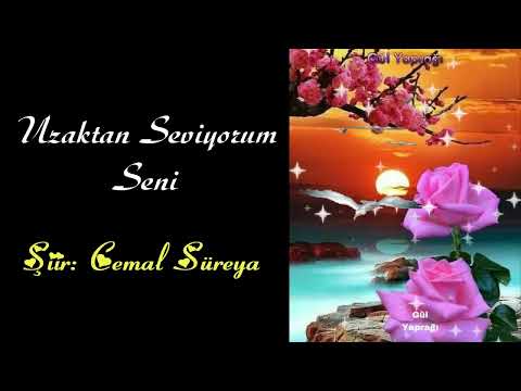 Cemal Süreya Şiiri | Uzaktan Seviyorum Seni