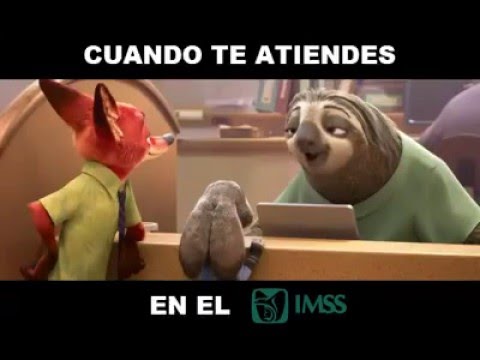 Memes Para El Imss