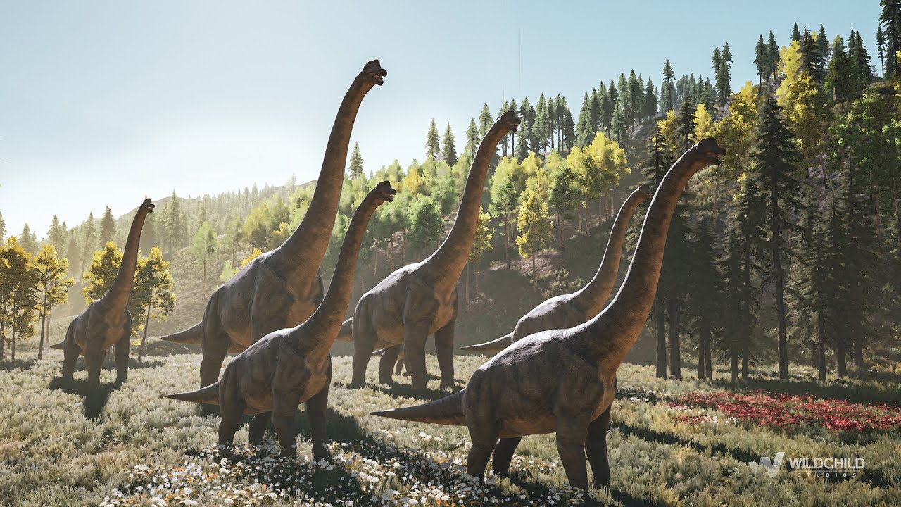 Diplodocus - 3D Animation - YouTube