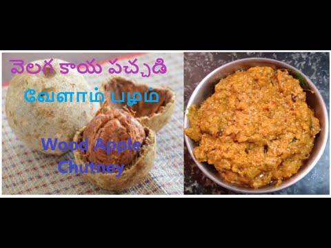 వెలగ కాయ పచ్చడి in 5 min | விளாம் பழம் | Velaga Kaya pachadi | Wood ...