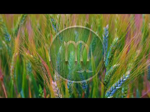 Virgo Sound Frequency Healing