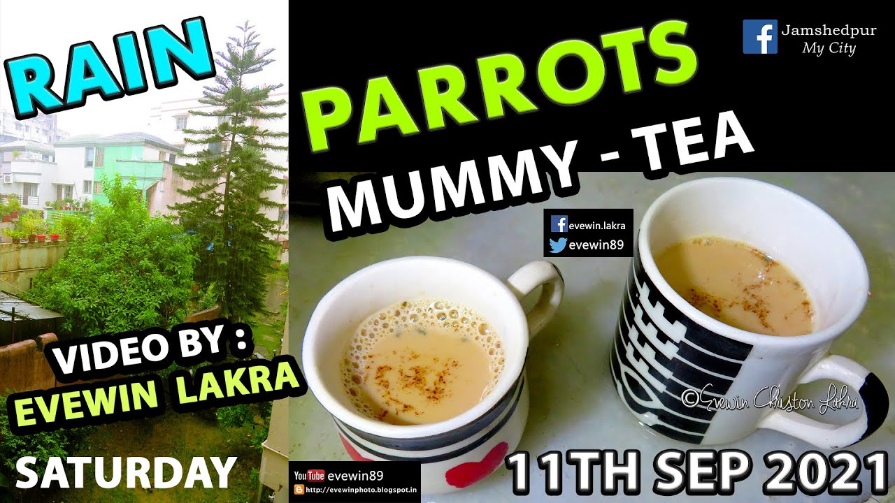 RAIN + PARROTS + MUMMY - TEA - 11TH SEP 2021 - VIDEO - BY - EVEWIN ...