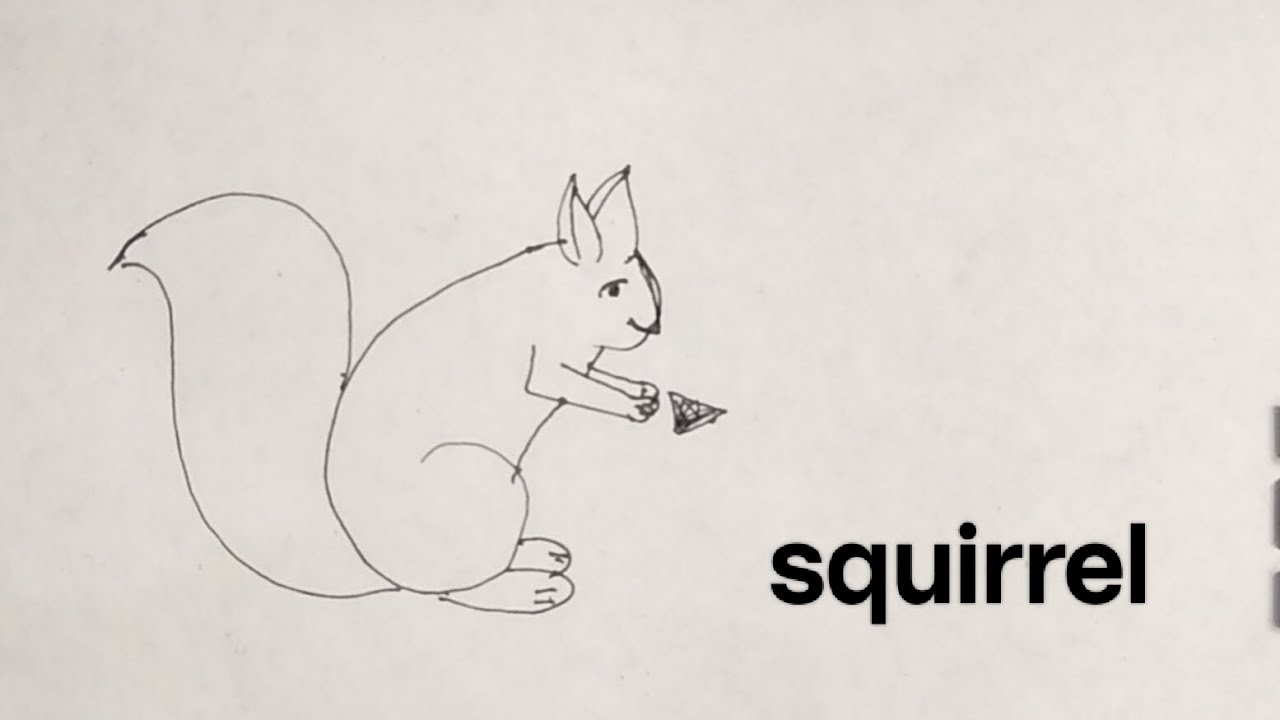 How to draw a squirrel 🐿️🐿️||squirrel drawing||very easy||art video ...