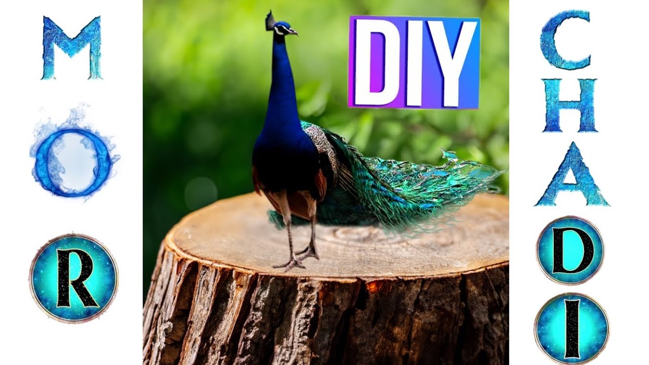 MOR CHADI DIY/(@akrcreativity7615 )#morchadi #decorativemorpankhstick# ...