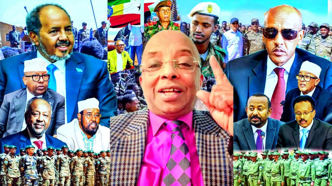 Geesiga Ogaadeen, Dhabar-jabka iidoor, Salaadiintii Lagu Qabtay ...