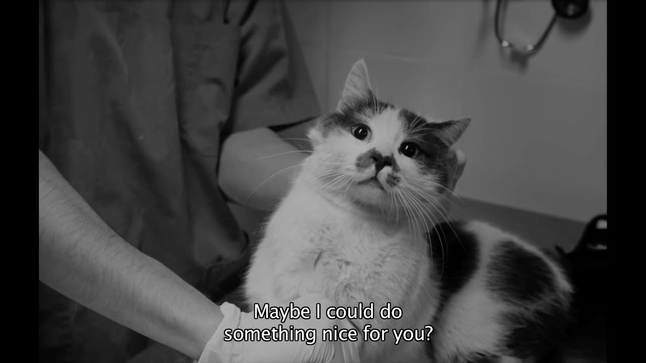 A Look at Gonzalo Maza’s THIS IS CRISTINA, 2020 Winner, Jordan Ressler ...