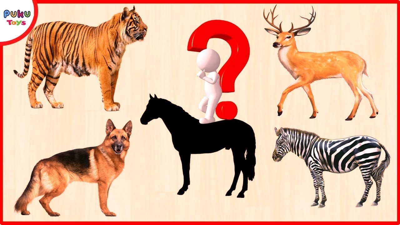 Wrong Slots Puzzle The 5 Animals Matching | Kids Learn Animals Name ...