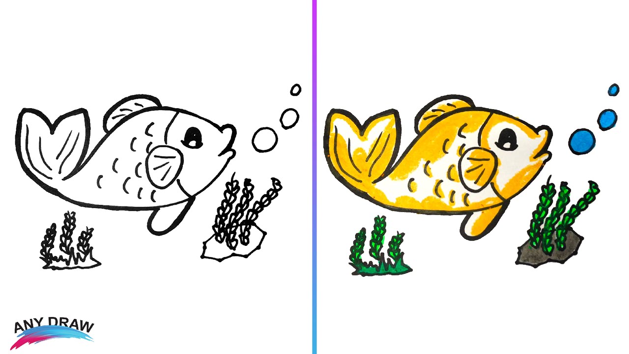 How to draw a fish | Easy drawings - YouTube