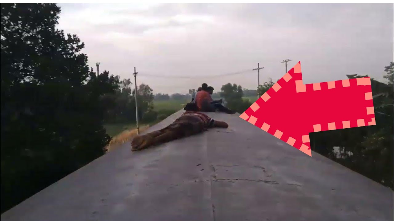 Most Dangerous Train Roof journey in the World - YouTube