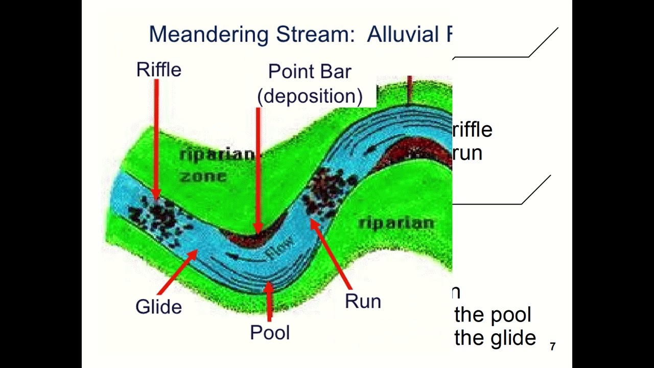 NC-030 Riffle pool visualization - YouTube