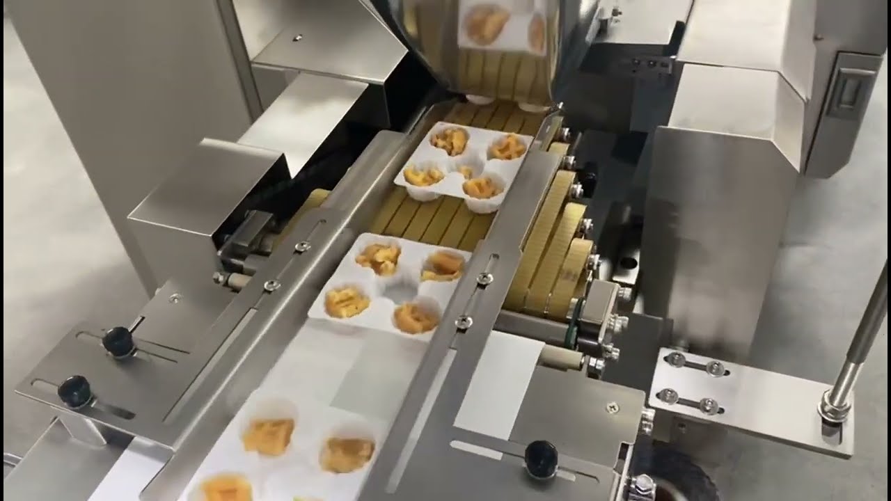 Malaysia machine 508 testing，bakery packaging machine,biscuit with tray ...