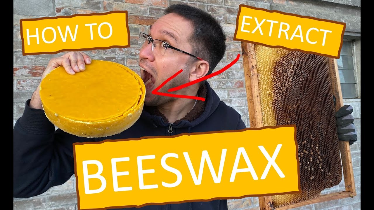 Beekeeping - How to extract beeswax - YouTube