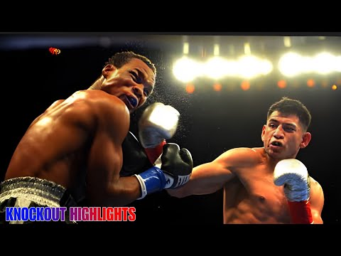 Brutal face-down knockout | George Ashie VS Alexis Rocha | boxing highlights