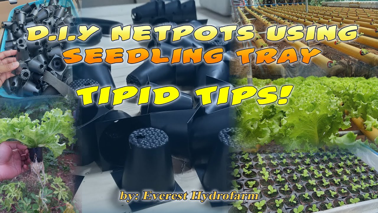 DIY Netpots using Seedling Trays / Tipid Tips / NFT - YouTube