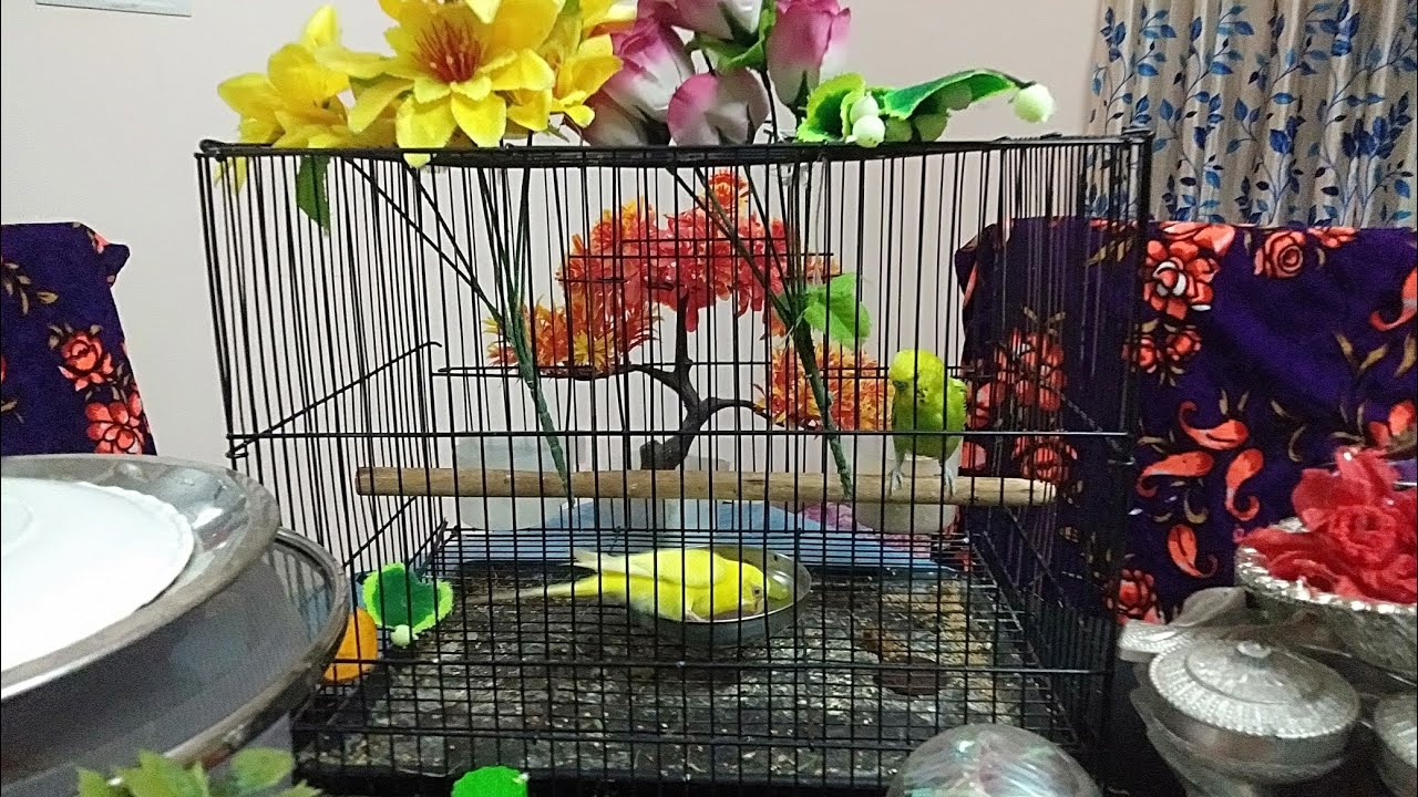 gud evening today full livestream 2८ april २०२३ - YouTube