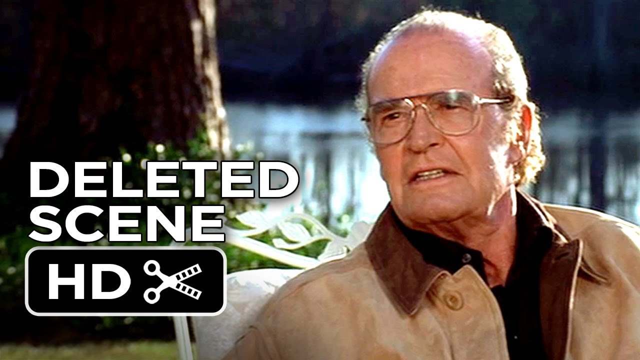 The Notebook Noah And Allie Old