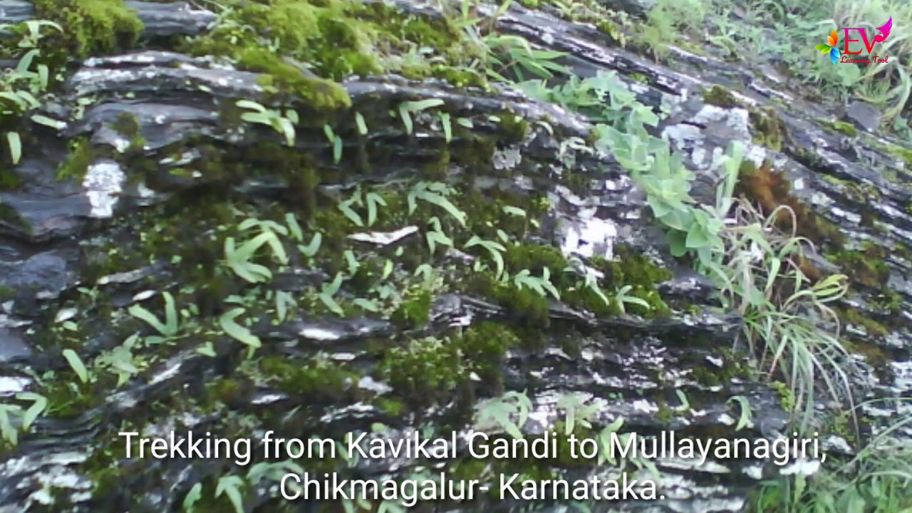Tourist Spot| India| Karnataka| Chikmagalur| Kavikal Gandi ...