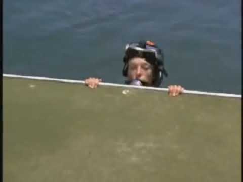 Scuba Woman attack and drowning Swimmer Girl