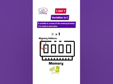 C DAY 7 | Variables in C | #shorts #programming #c - YouTube