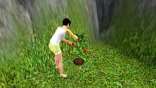The Sims 3 From Seeds to a fully grown plants
