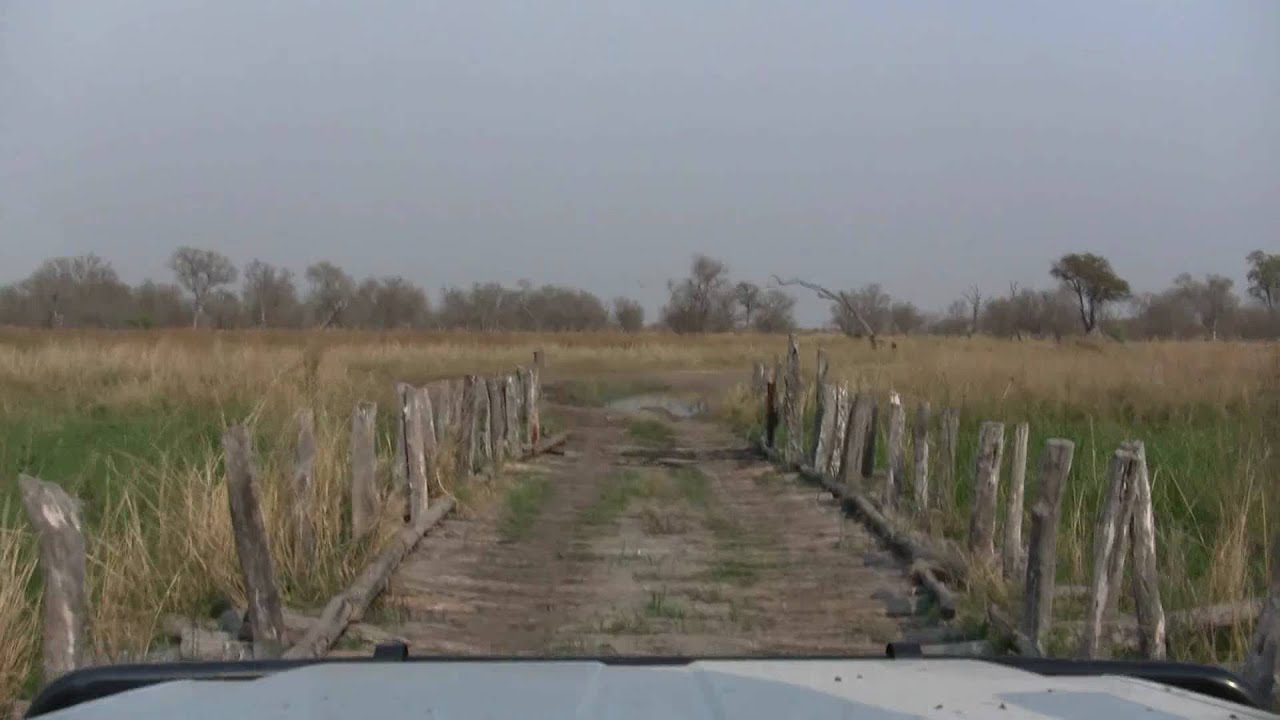 Travelfreaks - Botswana - Moremi - 4th & 3rd Bridge HD - YouTube