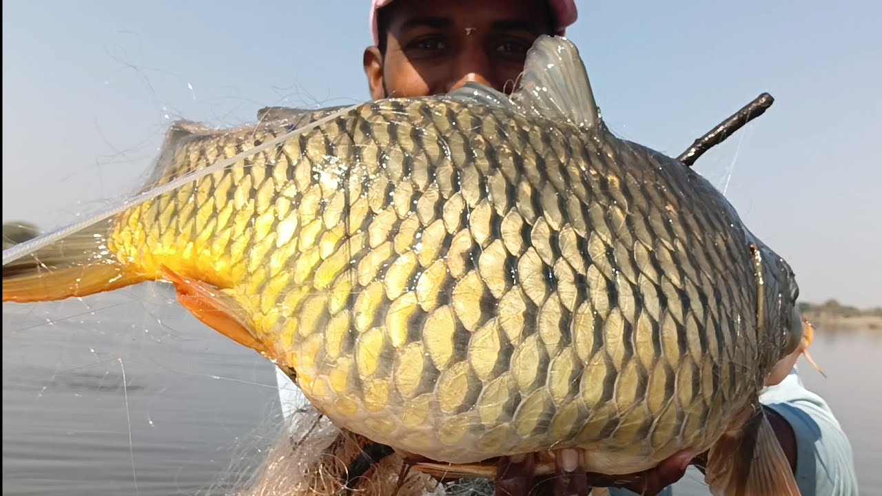 amazing fishing videos 2023 katla fishing - YouTube