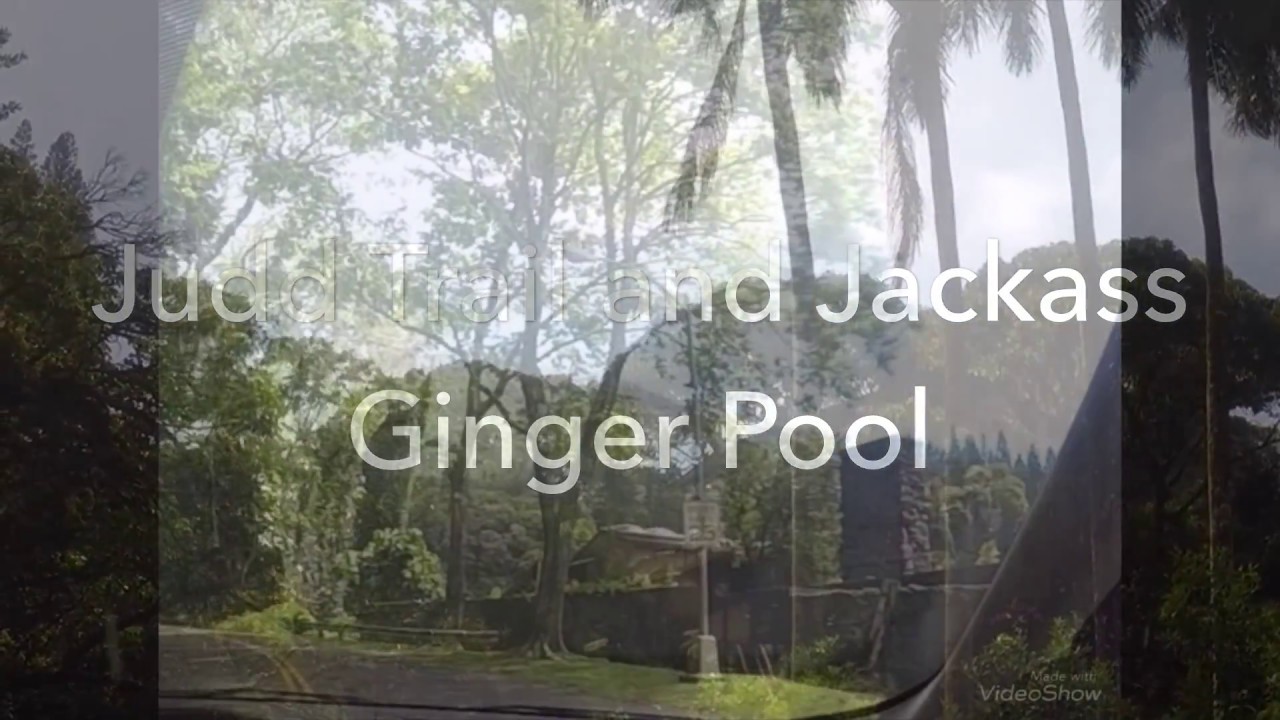 Judd Trail and Jackass Ginger Pool in Oahu - YouTube