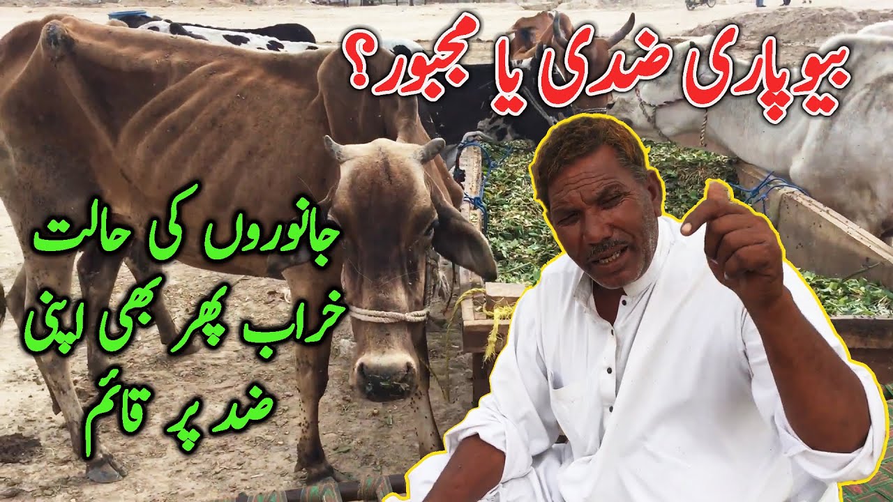Uncle Majboor in Sohrab Goth Mandi | 2019 - YouTube