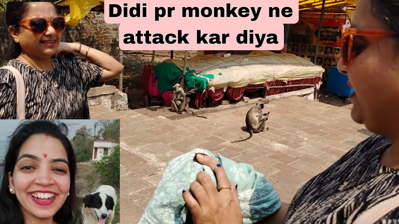 Didi pr monkey ne attack kar diya😢#kajalsinghvlogs #ramtek #khindsi # ...