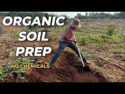 How to Fix Hard Clay Soil Before Planting Fruit Trees.