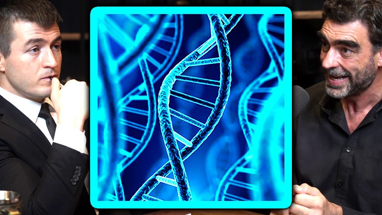 Biologist explains DNA | Nick Lane and Lex Fridman - YouTube
